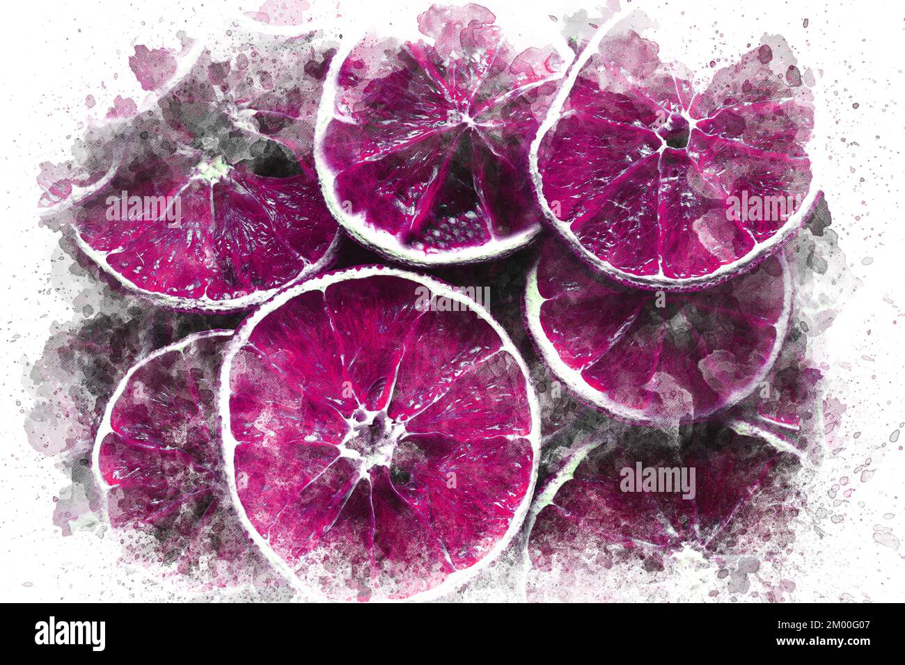 Watercolor illustration of citrus fruit. Orange slices watercolor ...