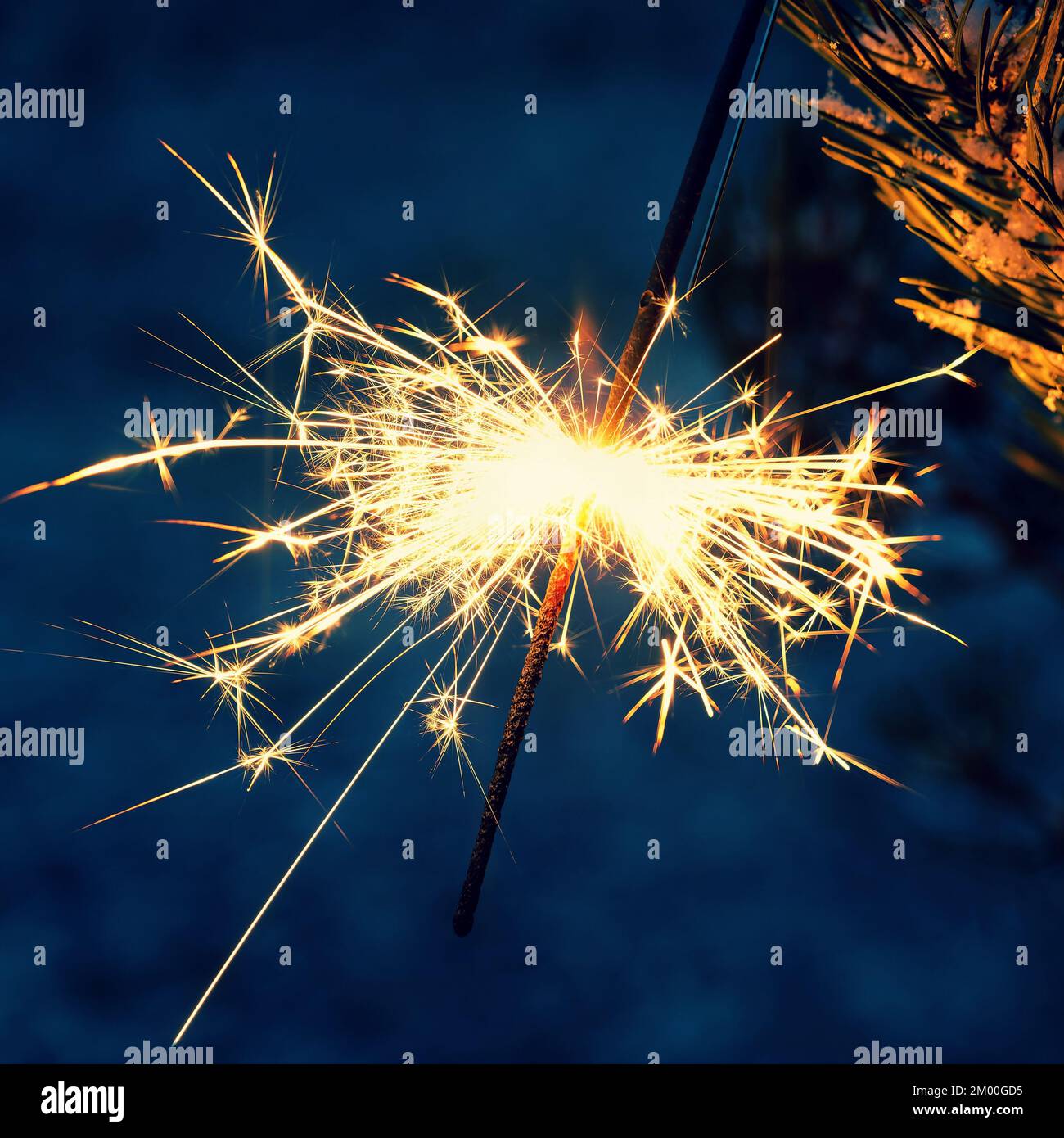 Christmas background. A sparkler on a Christmas tree in the evening ...