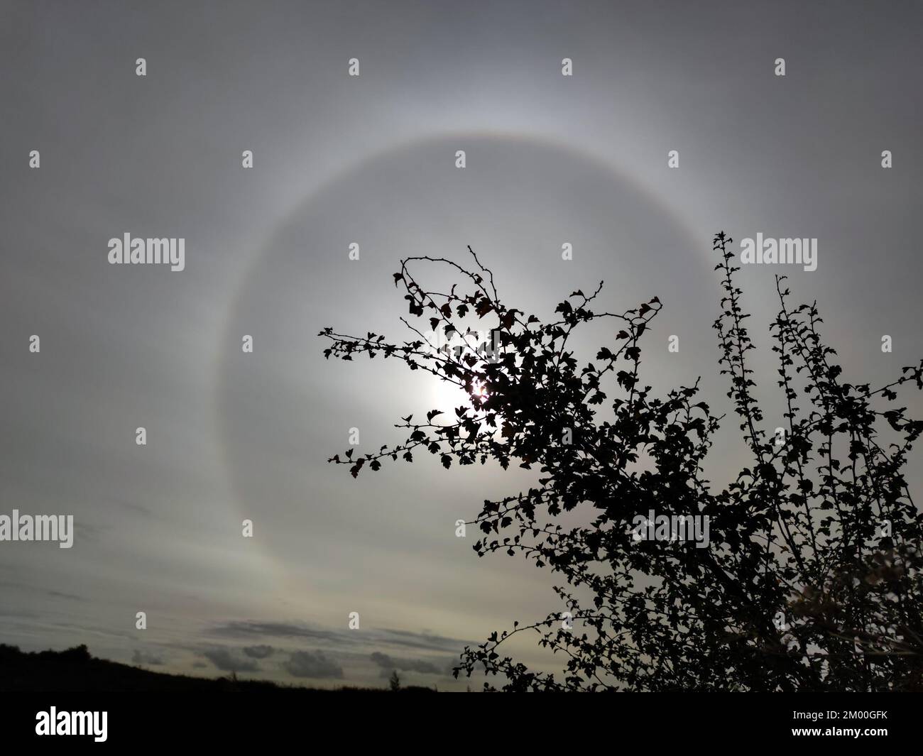 Bright 22 degree circular halo around the sun Stock Photo - Alamy