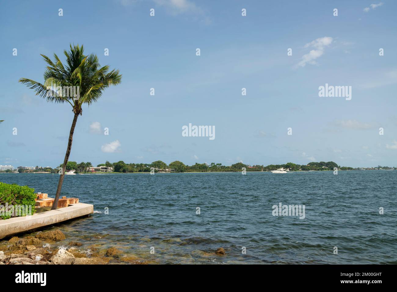 Miami bay waterfront against the blue sky background in Florida. There ...