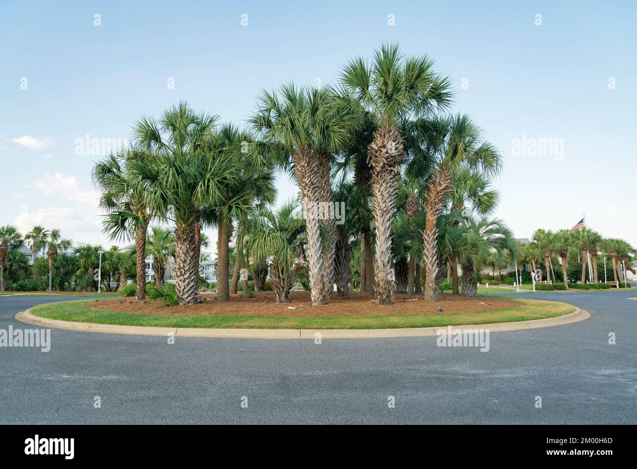 Roundabout with palm trees in the middle at Destin, Florida. Traffic ...