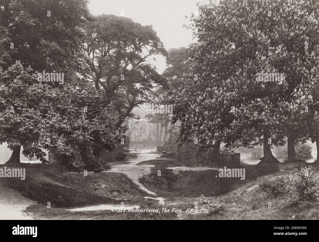 Hampstead london 1900 hi-res stock photography and images - Alamy