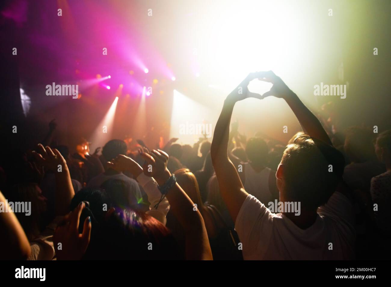 Crowd at concert, music and watch band performance, music festival ...