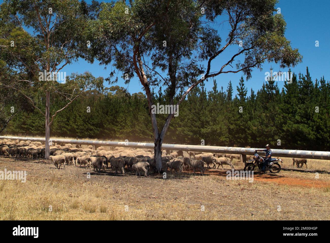 Motorized sa hi-res stock photography and images - Alamy