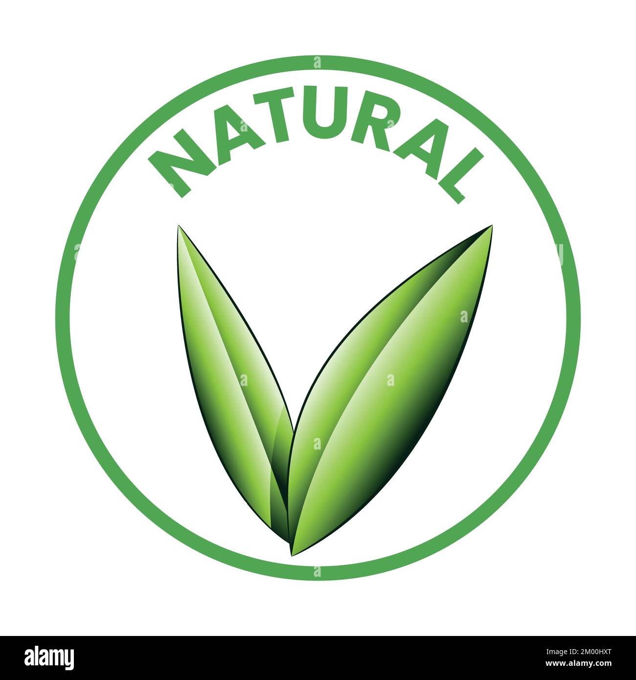 Natural Round Icon with Shaded Green Leaves isolated on a White ...