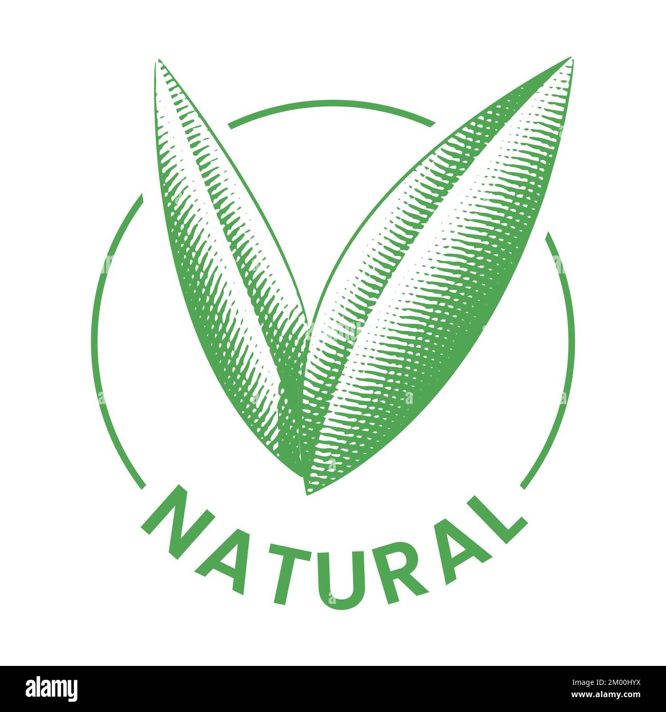 Natural Round Icon with Engraved Green Leaves isolated on a White ...