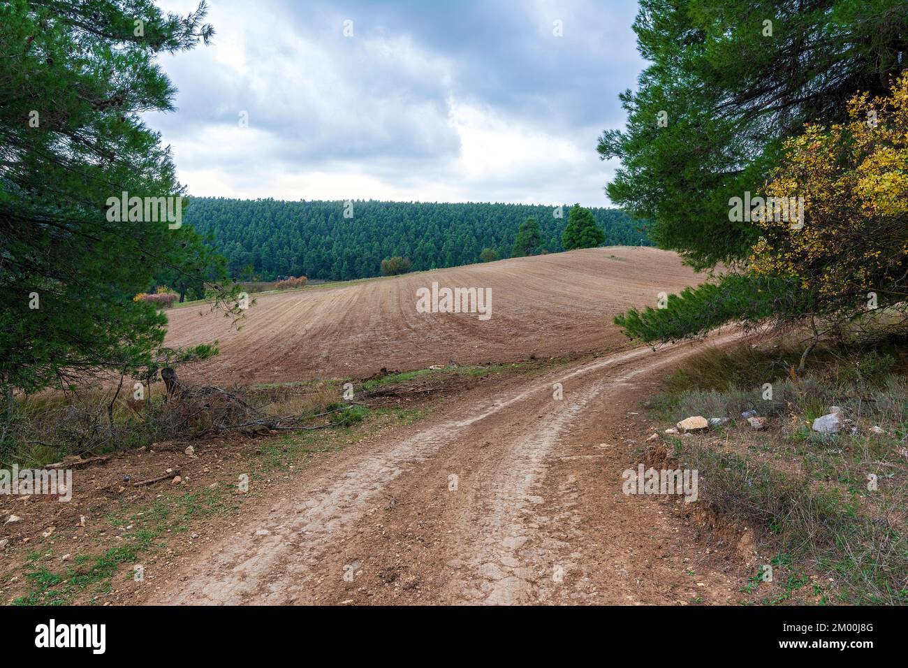 Rural road in autumn mountain and colorful trees on slopes. Avlonas ...