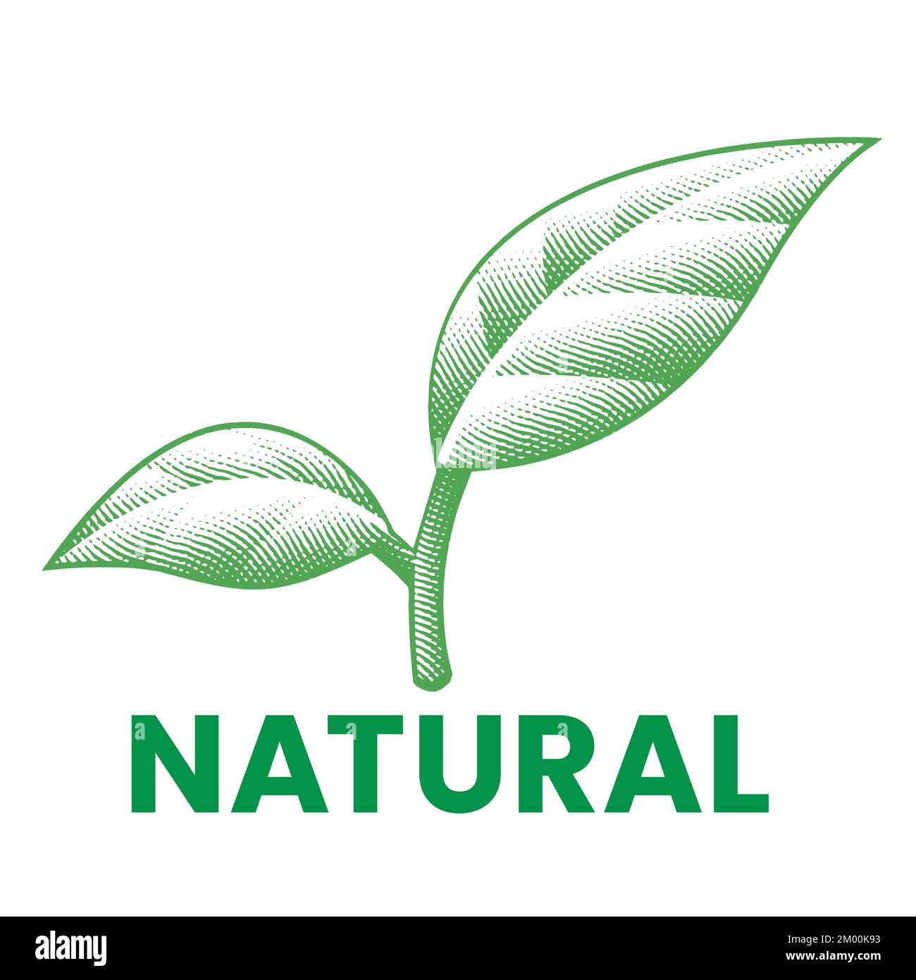 Natural Engraved Green Leaves Icon isolated on a White Background Stock ...
