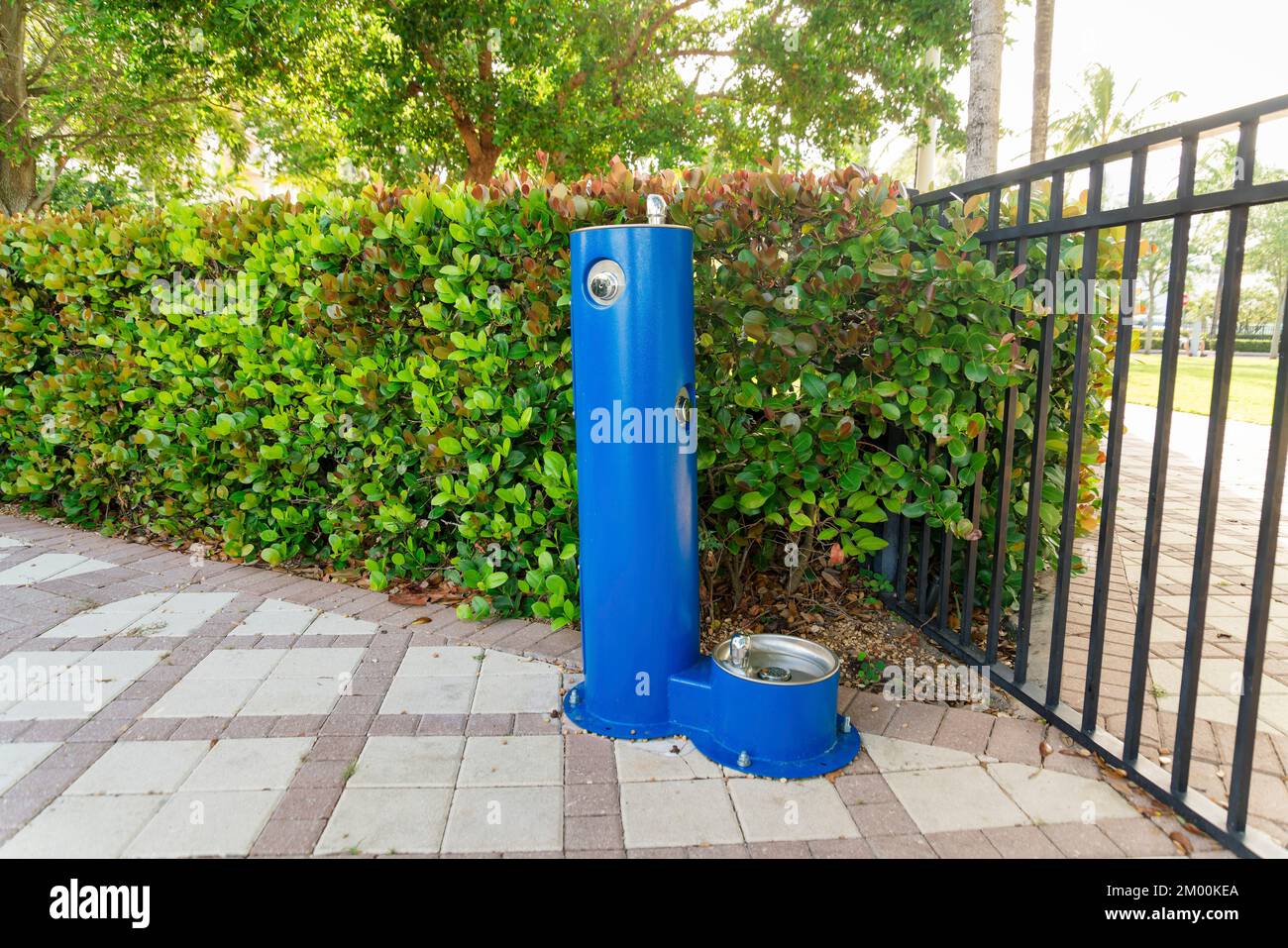 Human and dog water fountain outside near the fence railings and bushes ...
