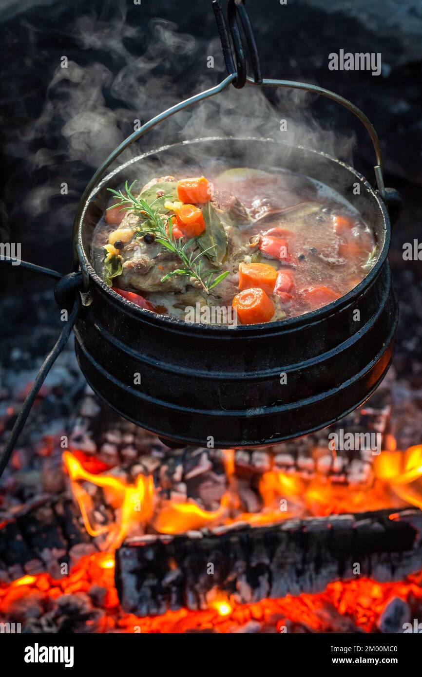 Homemade and tasty hunter's stew with herbs and vegetables. Hunting ...