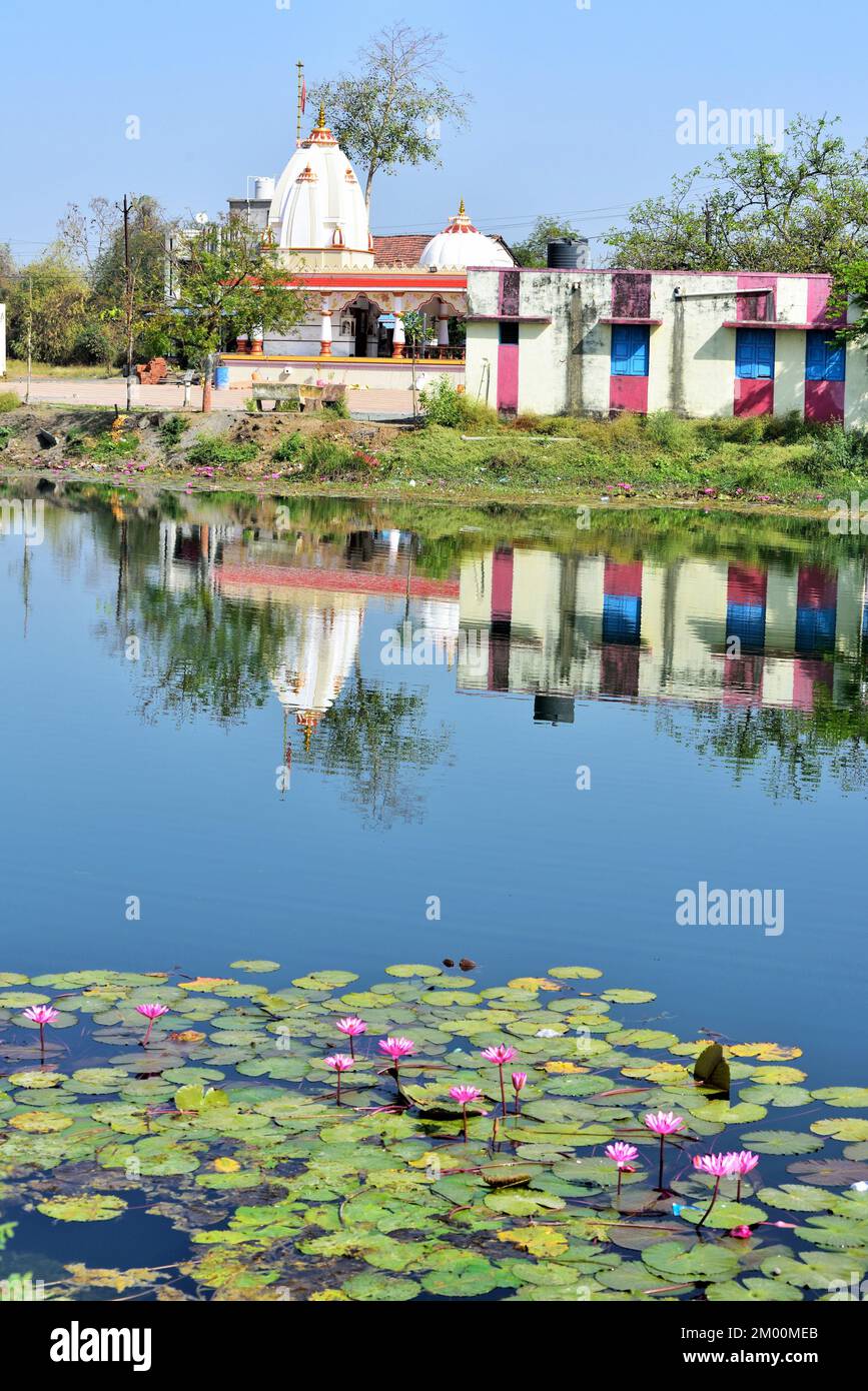 Hindu Temple, lotus pond, Chikhli, Navsari, Gujarat, India, Asia Stock ...