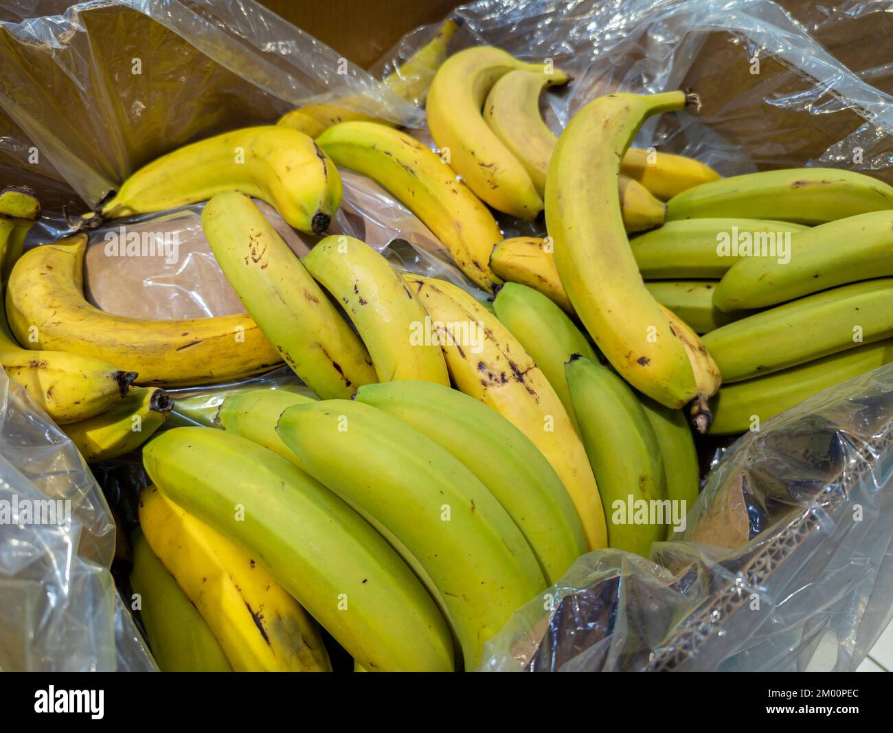 Canarian bananas in cardboard boxes in a supermarket ready for sale ...