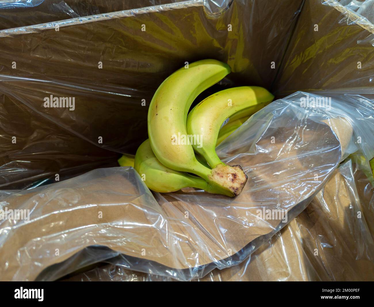 Bananas in boxes green hi-res stock photography and images - Alamy