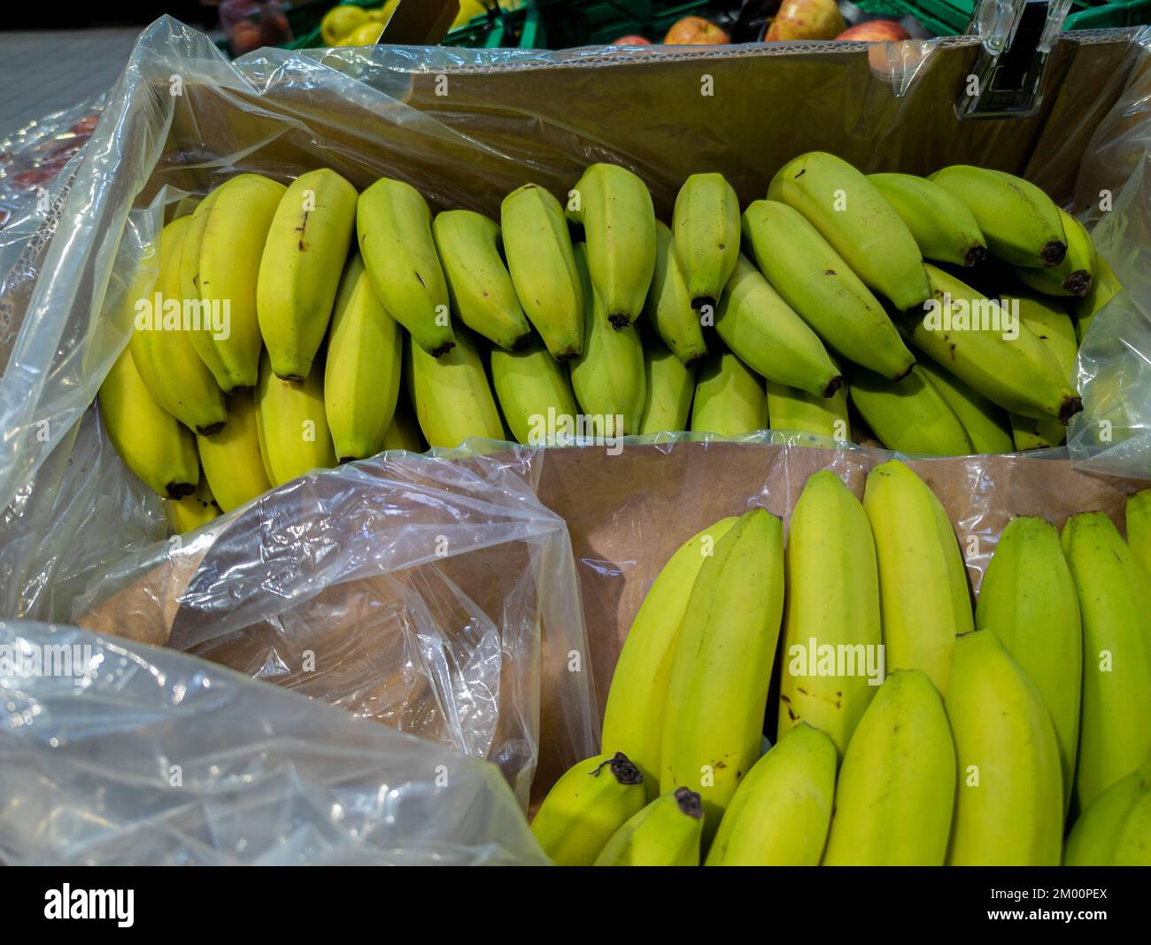Canarian bananas in cardboard boxes in a supermarket ready for sale ...