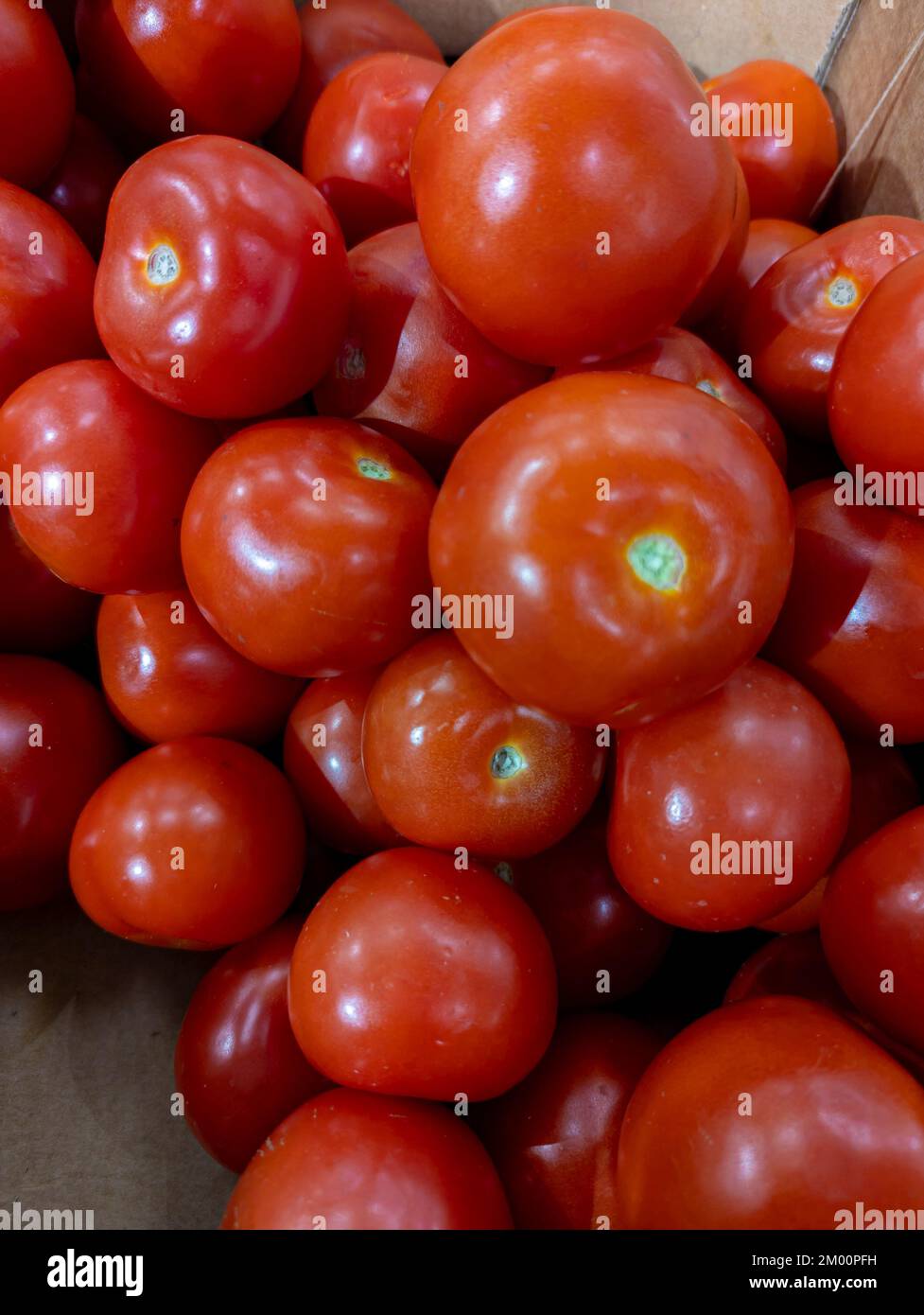 Yellow tomatoes in cardboard boxes hi-res stock photography and images ...