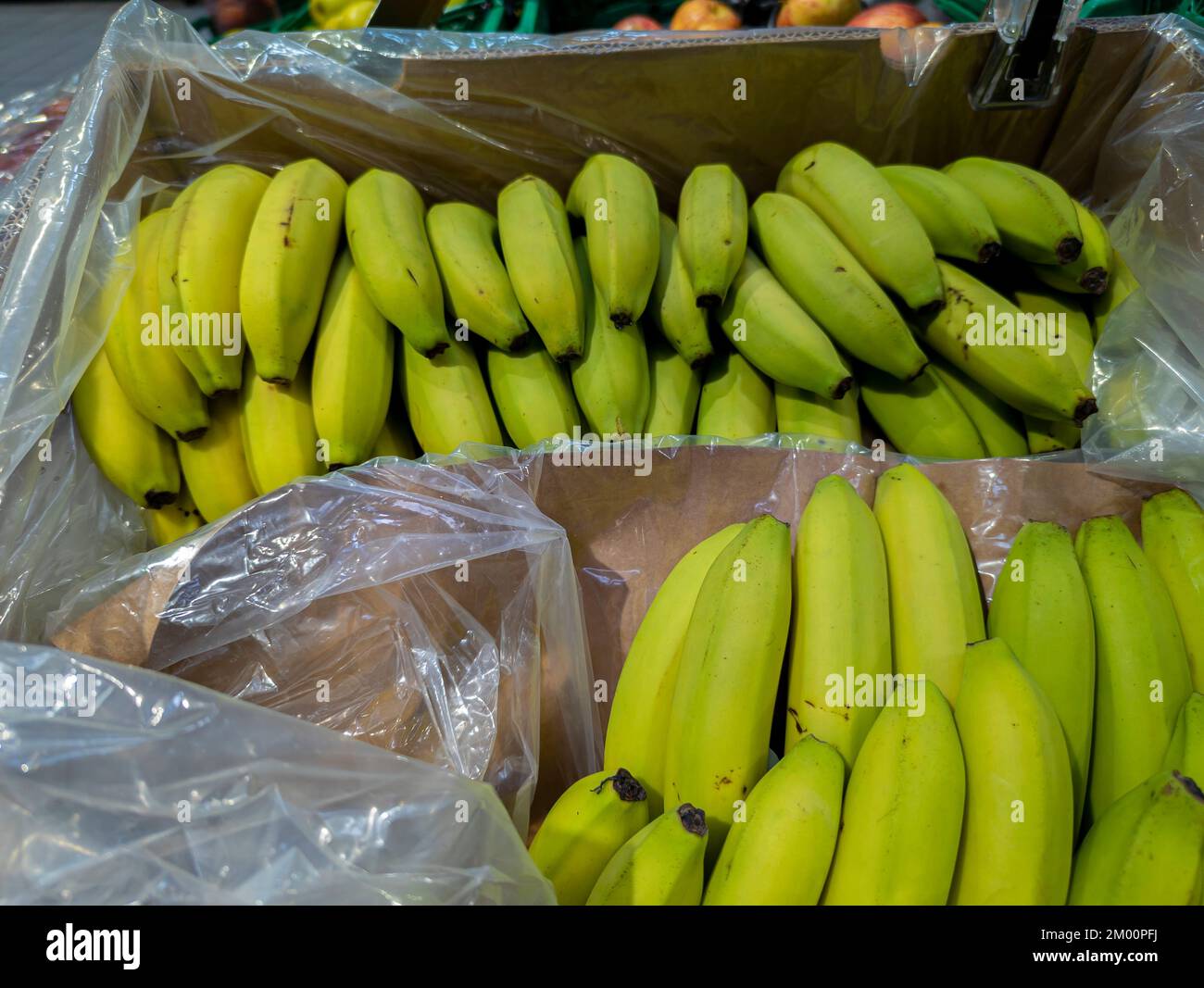 Canarian bananas in cardboard boxes in a supermarket ready for sale ...