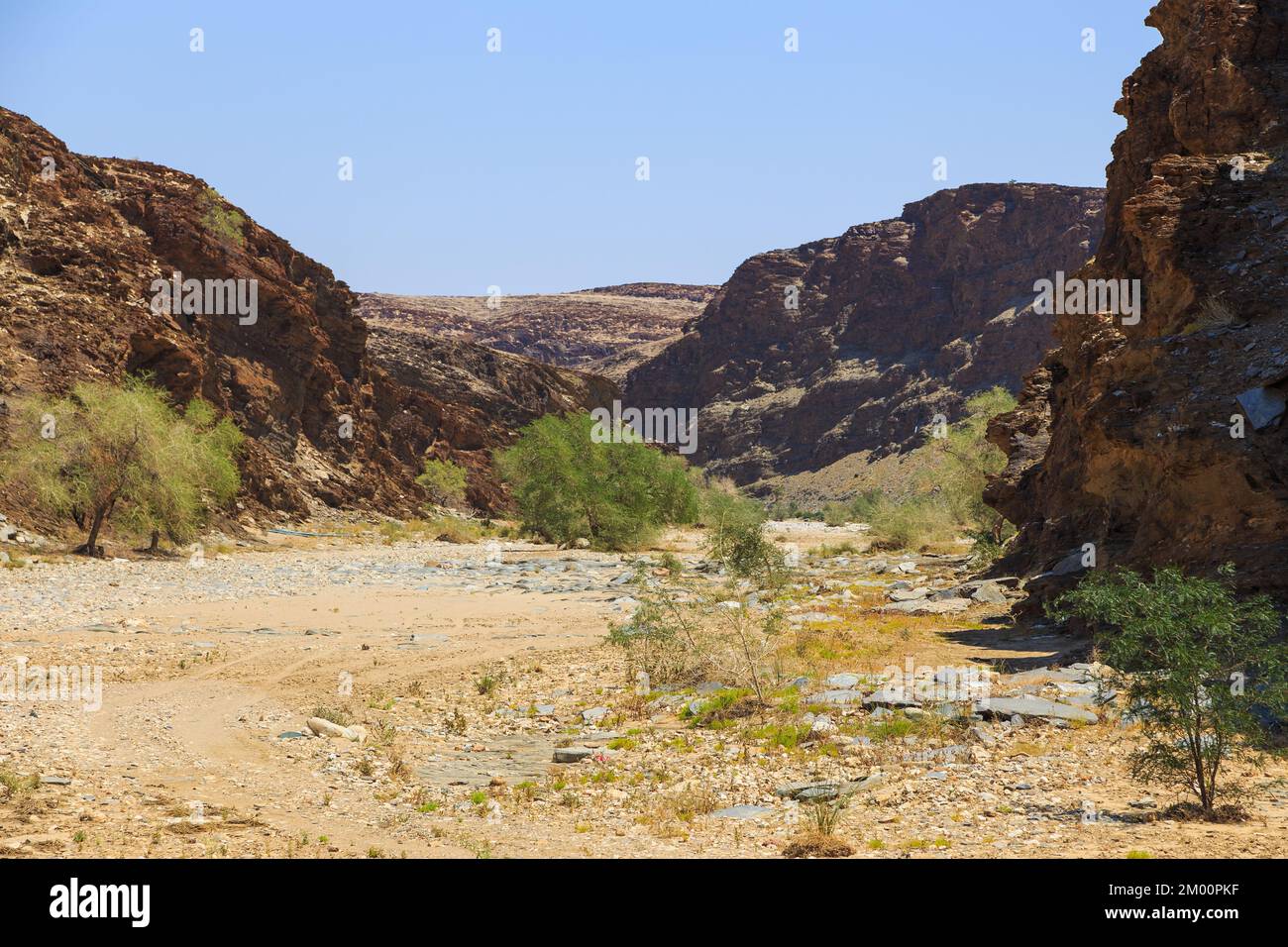 Namibian landscape along the gravel road. Yellow ground and African ...