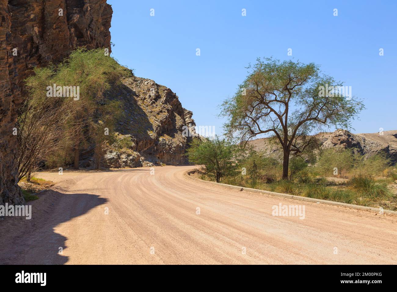Namibian landscape along the gravel road. Yellow ground and African ...