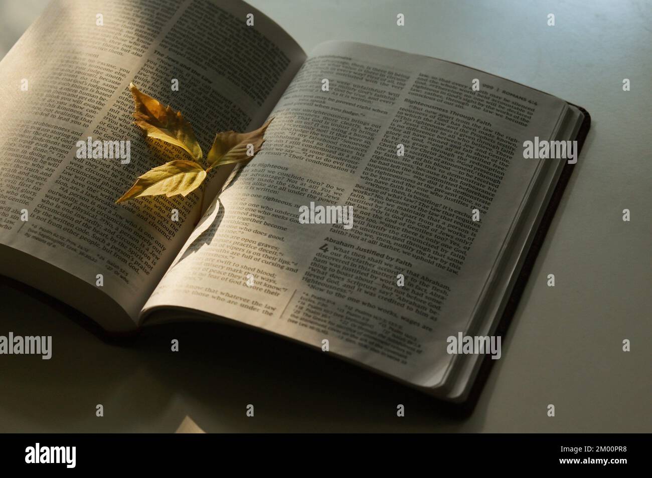 Bible stack hi-res stock photography and images - Alamy