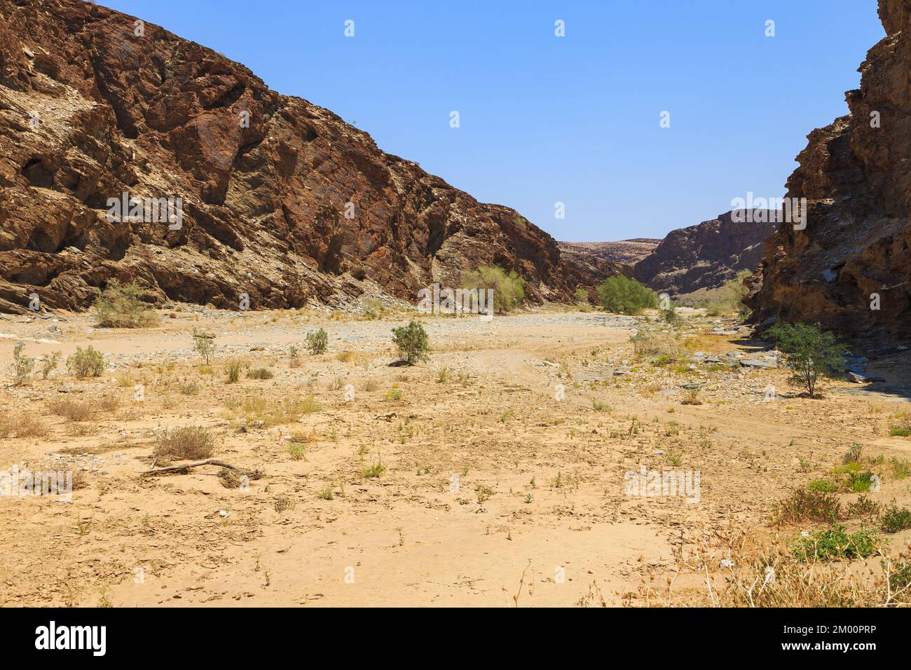 Namibian landscape along the gravel road. Yellow ground and African ...