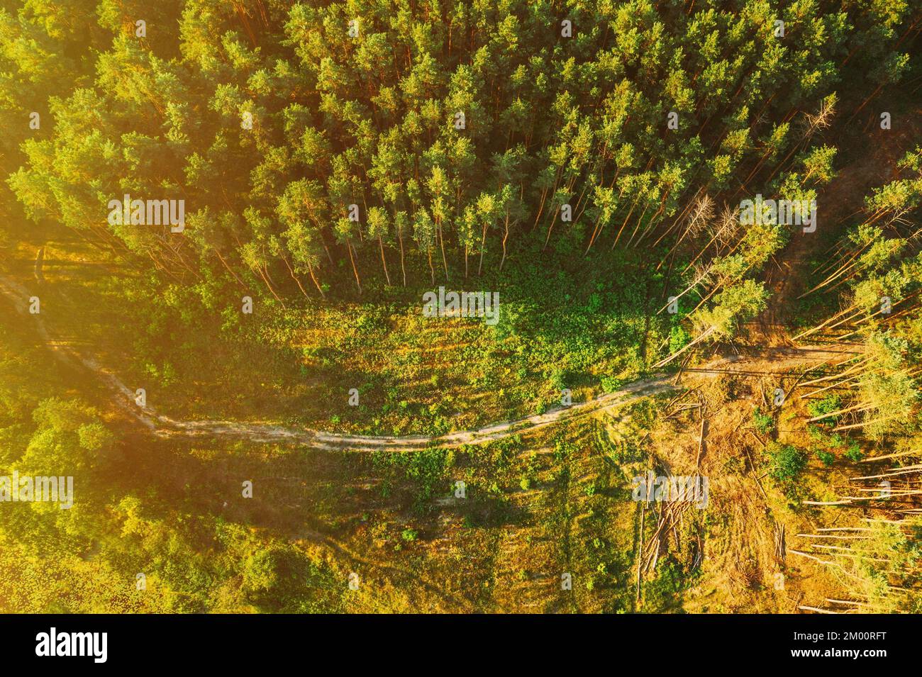 Elevated pathway hi-res stock photography and images - Alamy