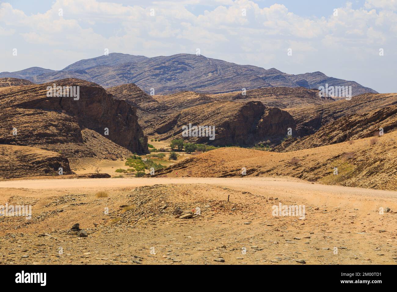 Namibian landscape along the gravel road. Yellow ground and African ...