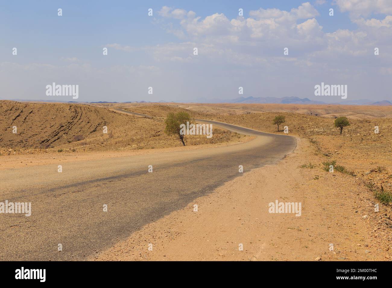 Namibian landscape along the gravel road. Yellow ground and African ...