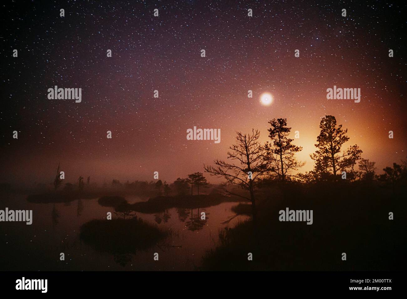 Real venus hi-res stock photography and images - Alamy