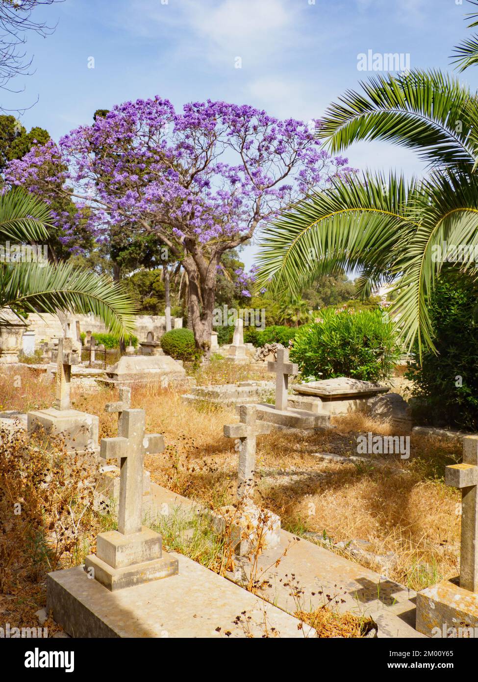 Floriana, Malta - May, 2021: Military Cemetery Pieta (Pietà) located just outside Valletta . The ...