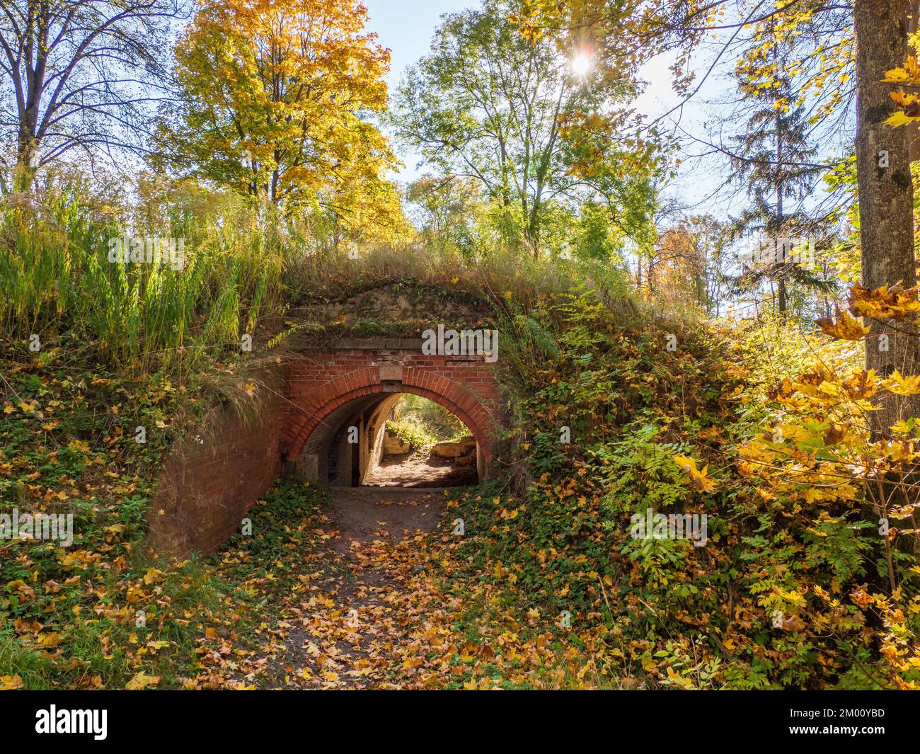 Prussian army at poland hi-res stock photography and images - Alamy