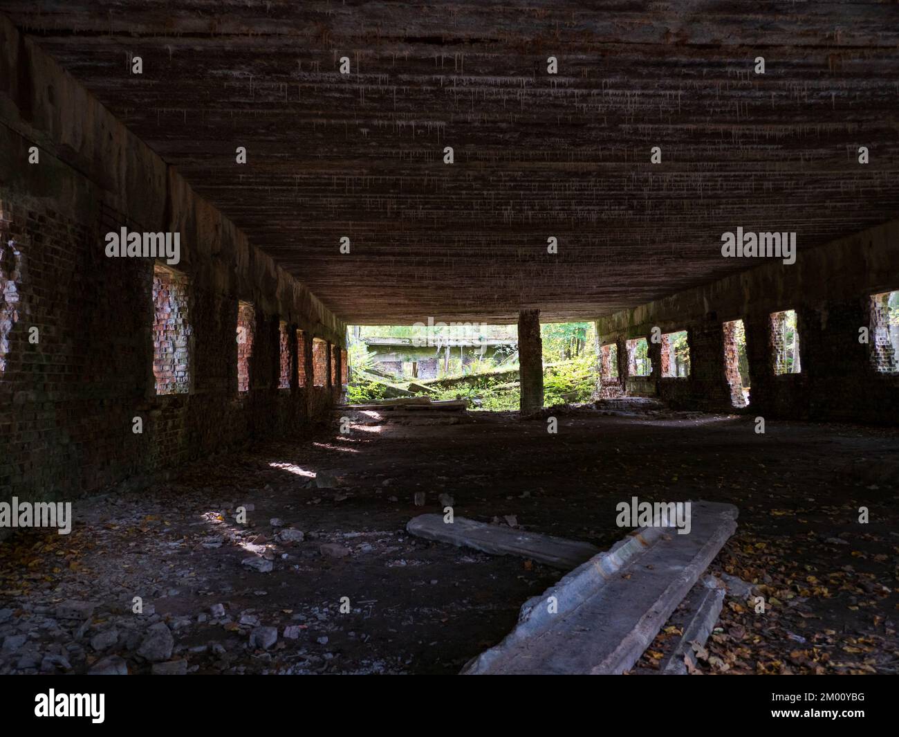 Eastern front fortifications hitler hi-res stock photography and images ...