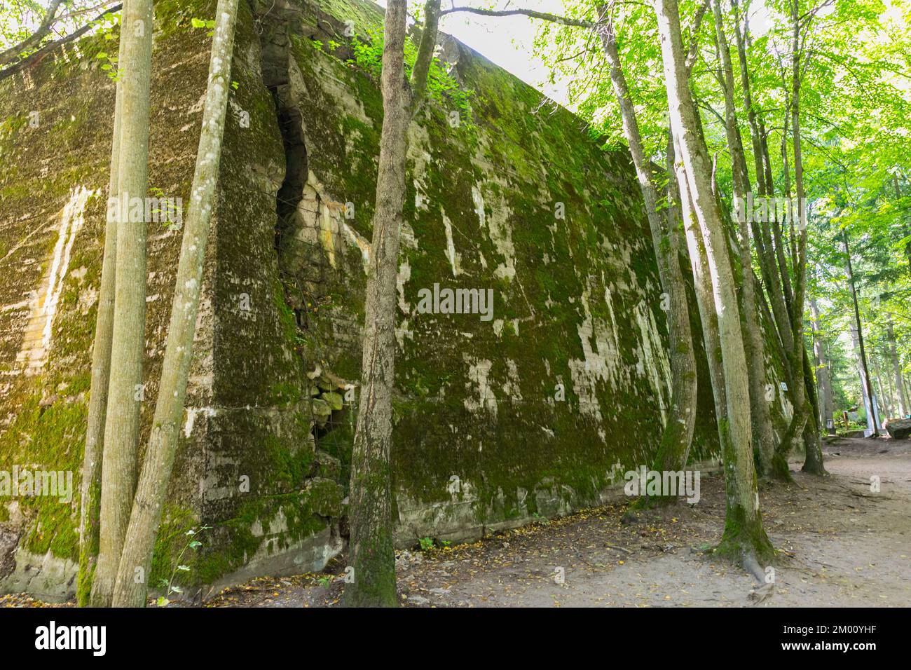 Eastern front fortifications hitler hi-res stock photography and images ...