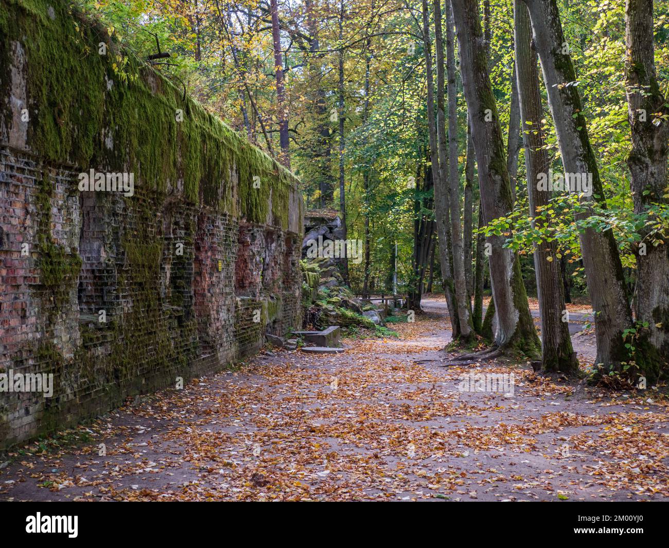 Eastern front fortifications hitler hi-res stock photography and images ...