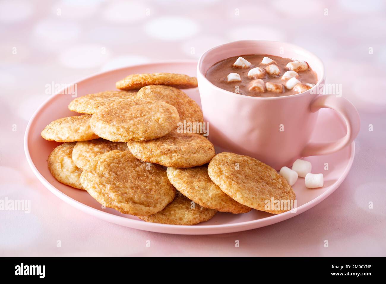 Homemade snickerdoodle cookies and hot chocolate topped with ...