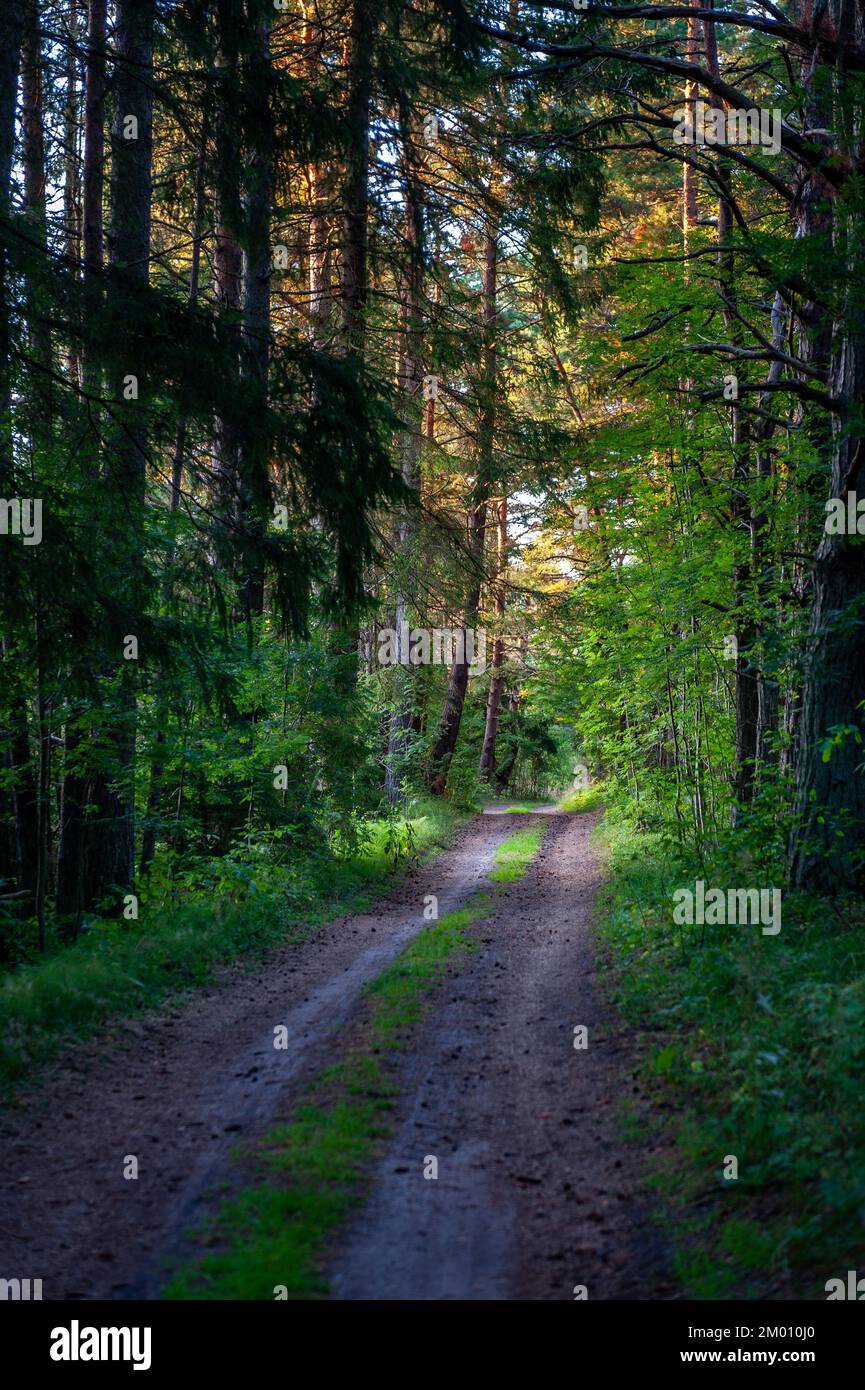 Pathway way through green hi-res stock photography and images - Alamy