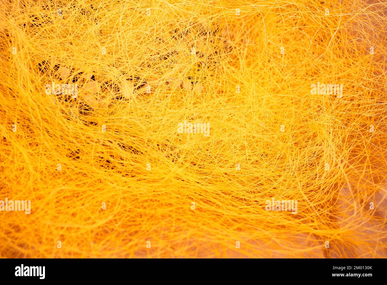 Silk thread lines from Silkworm for nature background Stock Photo - Alamy