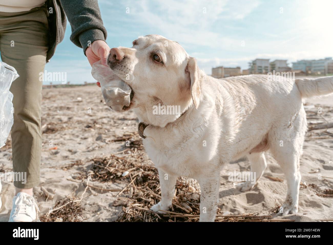 Plastic helping nature hi-res stock photography and images - Alamy