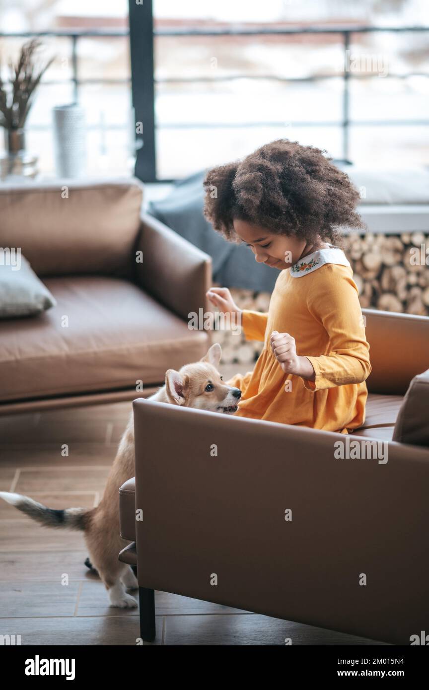African american girl with dog hi-res stock photography and images - Alamy
