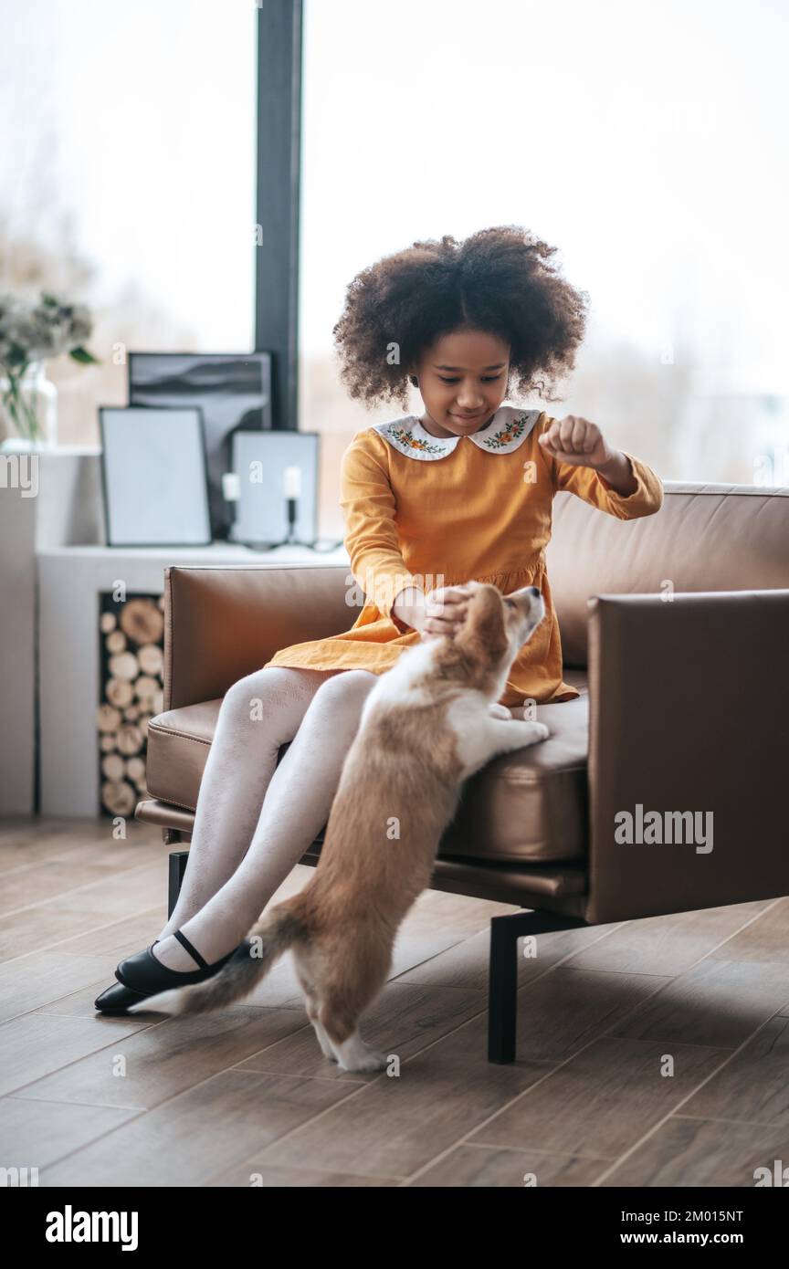 African american girl with dog hi-res stock photography and images - Alamy