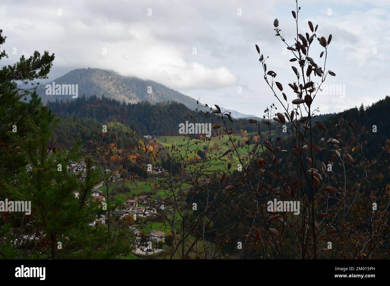 Trodena truden hi-res stock photography and images - Alamy