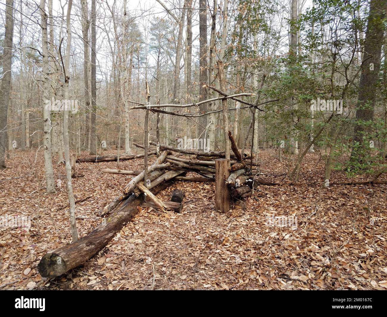 Fort made sticks in woods hi-res stock photography and images - Alamy