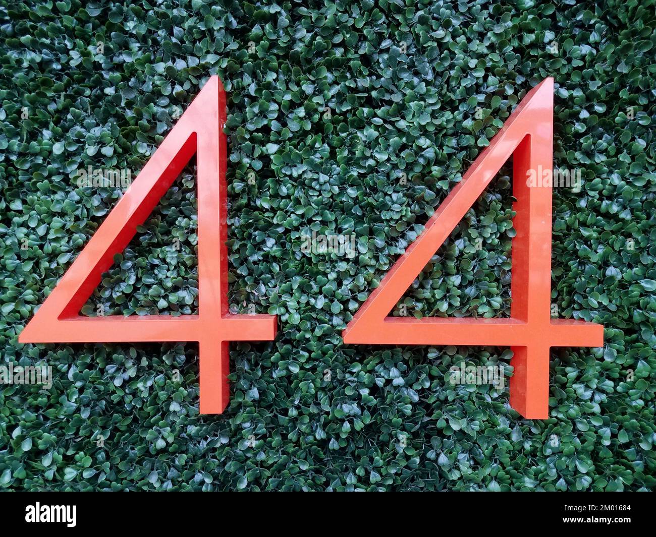 Leaf wall hi-res stock photography and images - Alamy