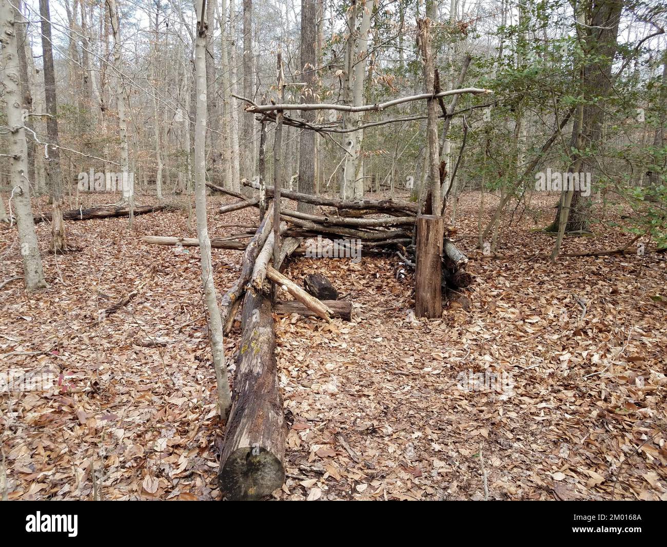 small structure or fort made out of sticks in the forest or woods Stock ...