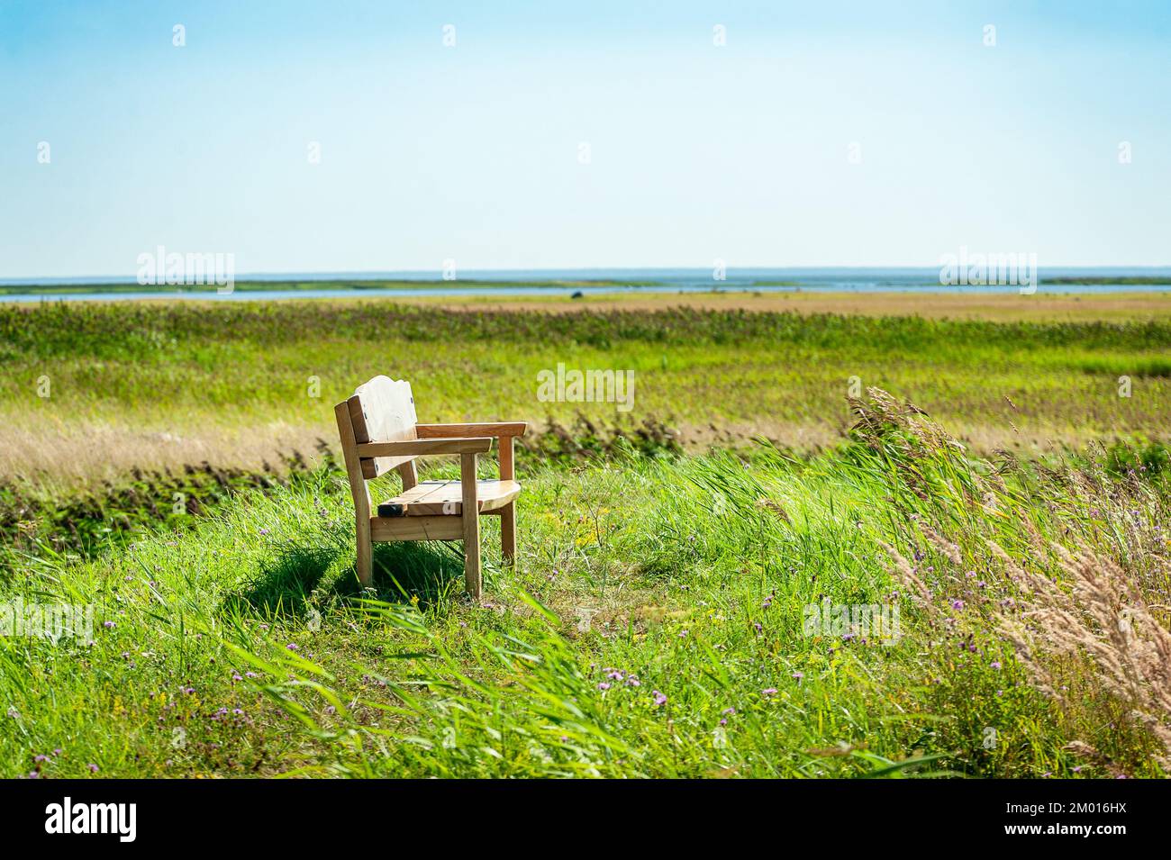 Wooden bench overlooking the Baltic Sea and seaside meadows. Beautiful ...