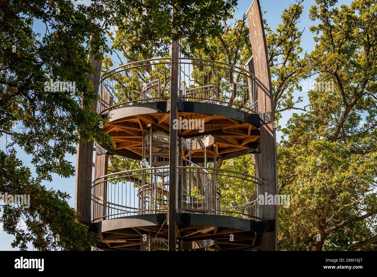 Observation deck, wooden in the park. Close-up. Lookout tower in the ...