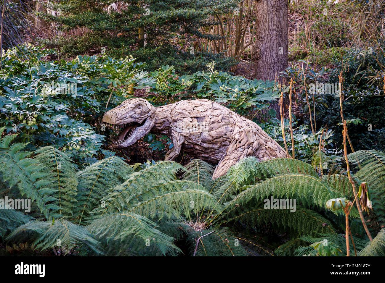 A wooden sculpture of Cretaceous dinosaur Tyrannosaurus Rex in ...
