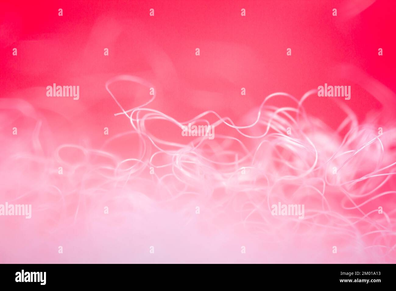 Extreme macro of polyester stable fiber on red background. Selective ...