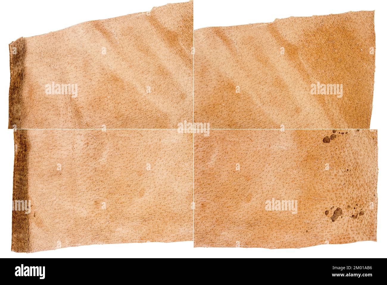 Collection of brown leather textures isolated on white background ...