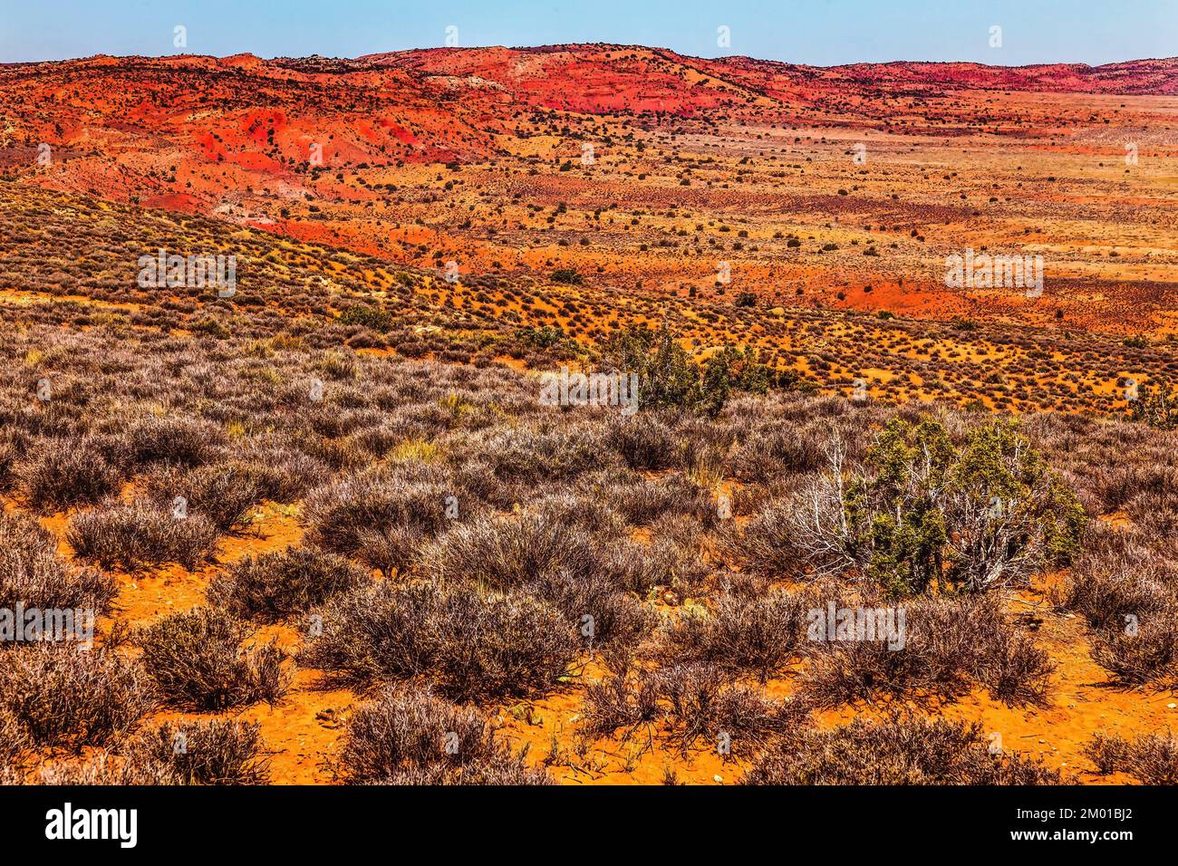 Section desert hi-res stock photography and images - Alamy