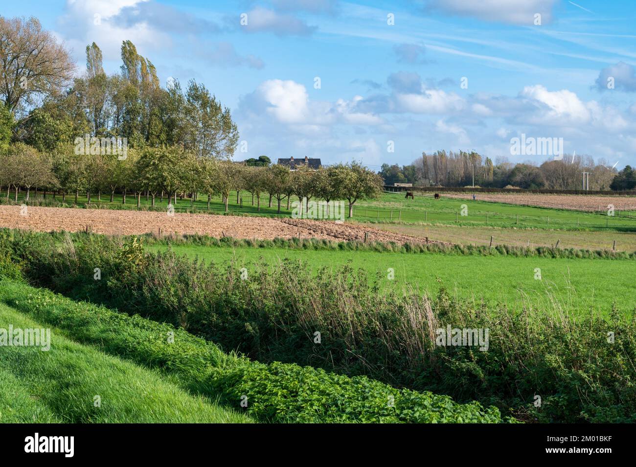 Green agriculture fields at the Flemish countryside, Asse ter Heide ...